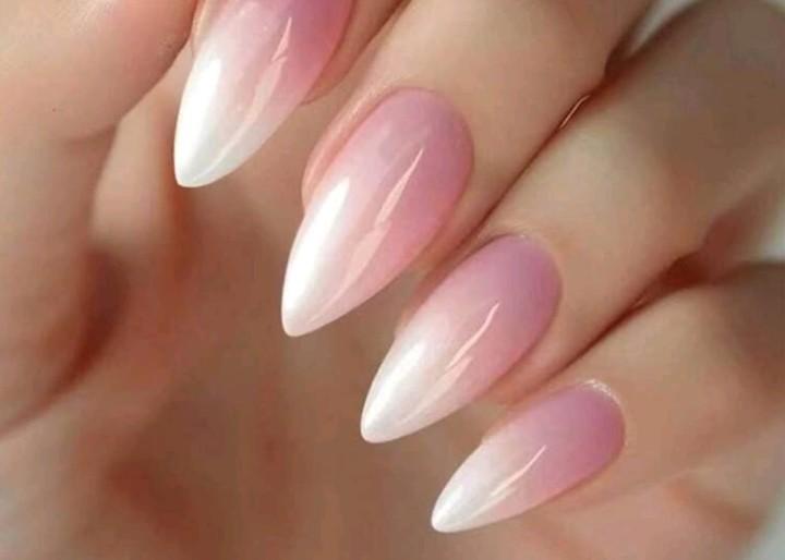 Price List | BookingCampus Shop